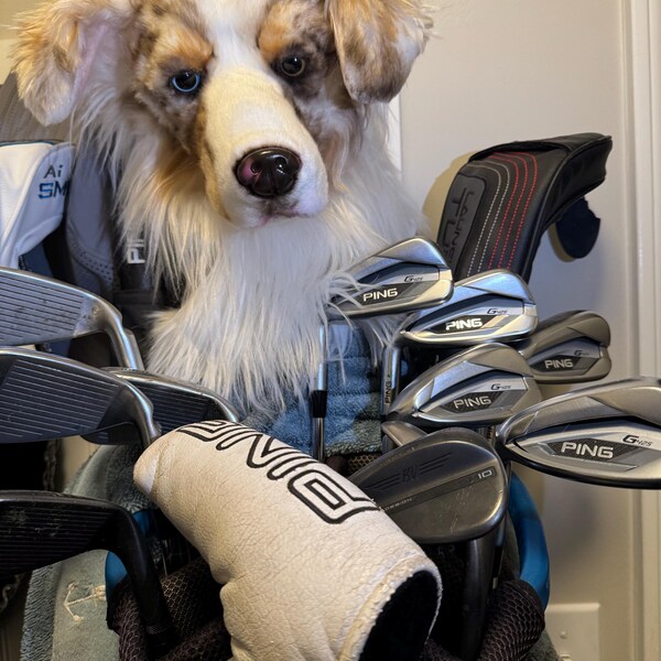 Custom Dog Golf Head Cover | Dog Replica Golf Driver Cover | Dog Head ...