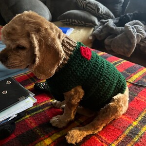 Ledger Sweater CROCHET Pattern Beginner Friendly Sweater for Dogs in 5 ...