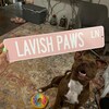 Personalized 4x18 Baby Pink Street Sign ANY TEXT - Etsy Canada