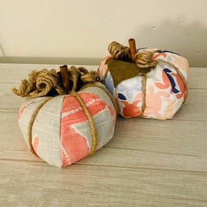 Brown Turkey Wing Seashells Ark Shells Arca Zebra Coastal | Etsy