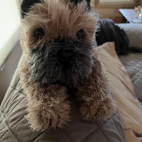 French Bulldog Gifts, Frenchie Gifts, Dog Lovers Gifts, Dog Memorial ...