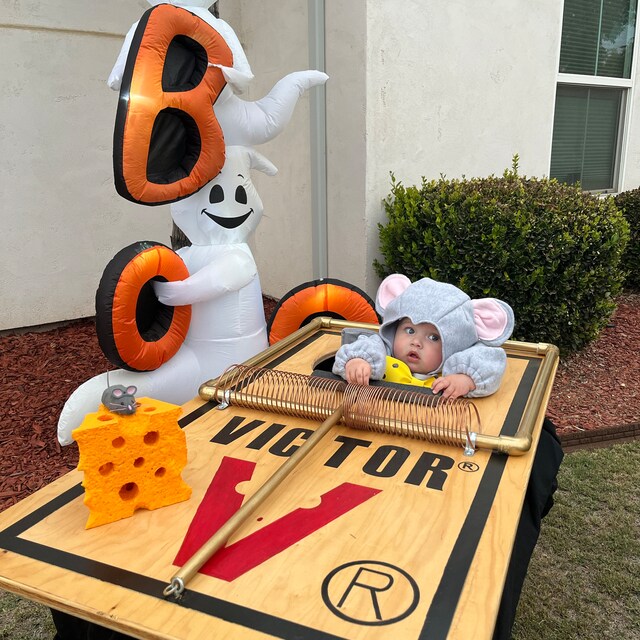 Baby mouse trap store