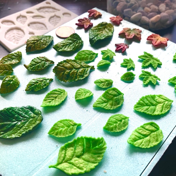 Leaves Mold, Leaf Mold, 12 Cavity Mold, Cake Decoration Mold, Fondant ...