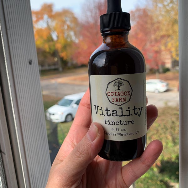 Turkey Tail Tincture Double Extraction Mushroom Herbal Natural ...