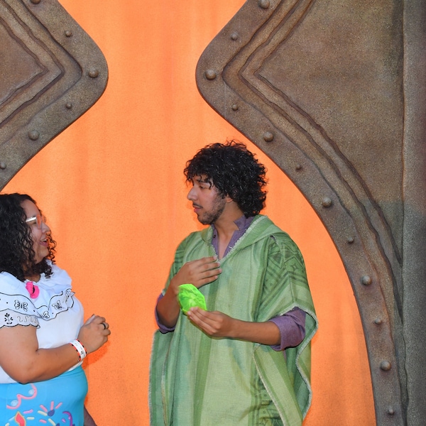 Encanto Mirabel Bruno Vision Puzzle Prop Collectible - Etsy