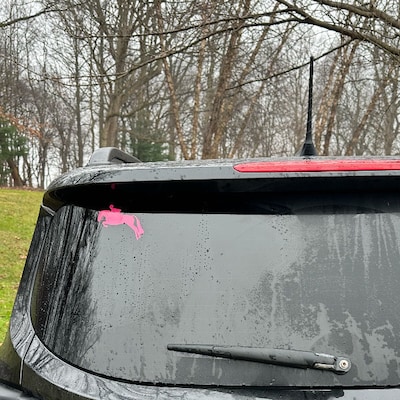 Rad Moms Club Cute Front License Plate Cute Vanity Plate Cute Car Tag ...