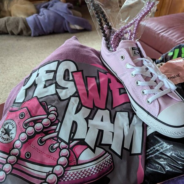 Everything is Under CTRL Comfort Colors Shirt, Computer Programmer T-shirt, Computer Science ...