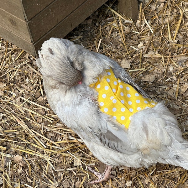 Chicken Diapers/ Hen Diapers/ Birds Diapers/rooster Diaper - Etsy