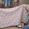 Sonic the Hedgehog Hedgehog Fabric by the Yard FBTY Fat Quarters FQ ...