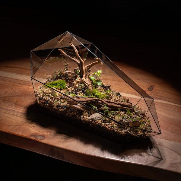 Digital Printable PDF Glass Terrarium Creat Pattern Template, Geometric ...