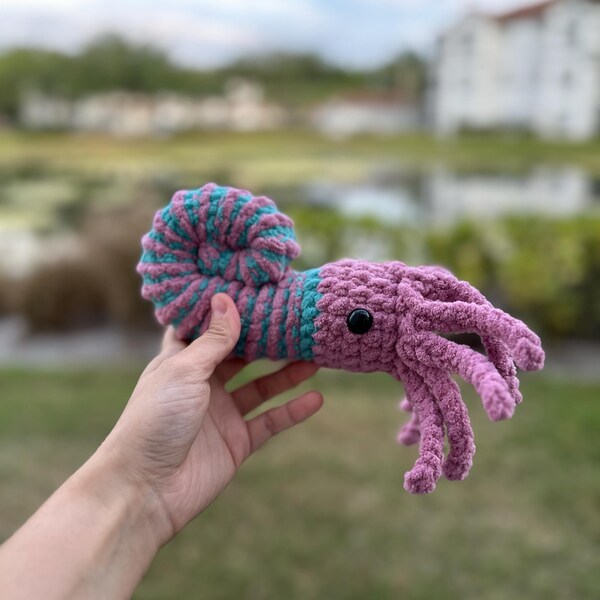 Low Sew Crochet Ammonite Pattern: Amigurumi Plush (PDF Pattern) - Etsy