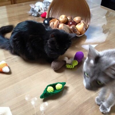 Catnip Candy Corn Cat Toy - Etsy