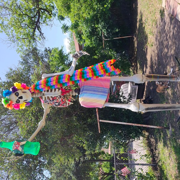 12 Ft Skeleton SWIM WEAR!!!!! (skeleton & Hats Not Included) - Etsy