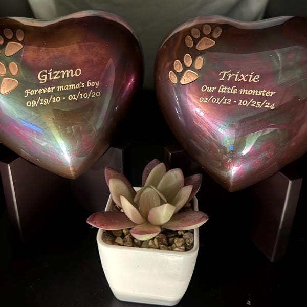 Guardian Angel Wing Memorial Keepsake Memorial Gift Sympathy Memento - Etsy