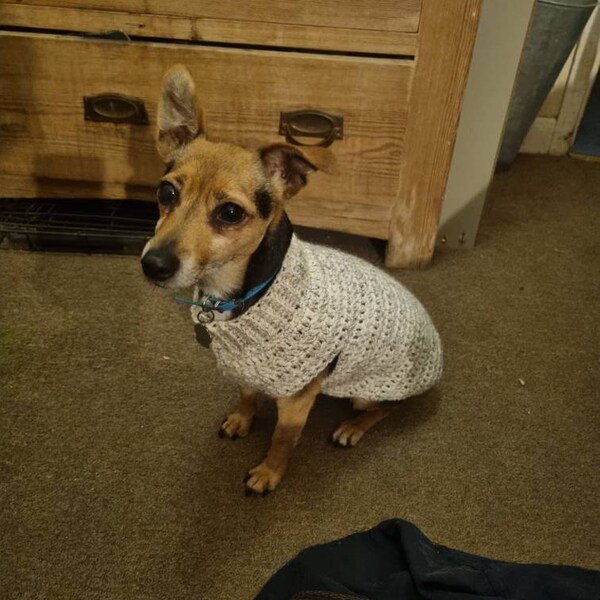 Ledger Sweater CROCHET Pattern - Beginner Friendly Sweater for Dogs in ...
