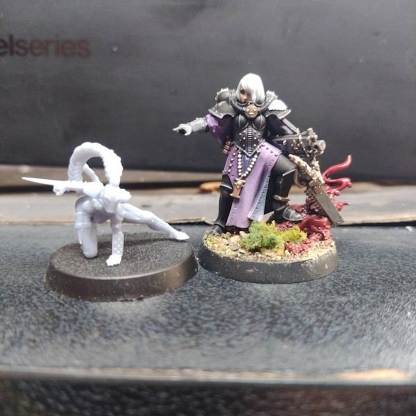 Assassin Imperial Temple Phase Sword Bodyglove Shadowblade Aos SCIFI ...