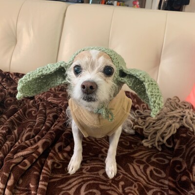 Dog Costume, Dog Collar, Blooming Flower Halloween Costume, Dog Clothes ...