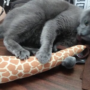 Three Candy-coated Popcorn Cat Toys Filled With Organic Catnip - Etsy