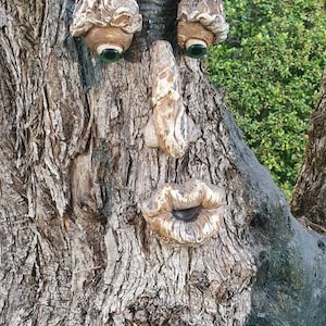 Forrest Stump Concrete Tree Face, Birthday Gifts, Fun Gardeners Gift ...