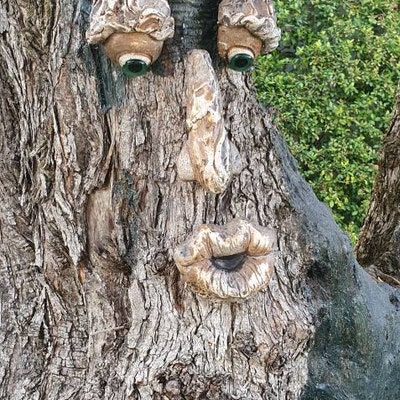 Forrest Stump Concrete Tree Face, Birthday Gifts, Fun Gardeners Gift ...