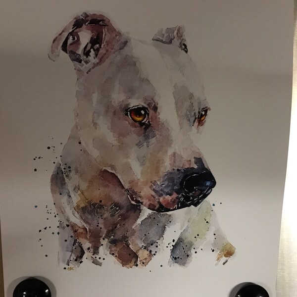 Grey Anatomy Brahman Bull ." Print Watercolour.brahman Cow Art,brahman ...