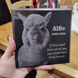 Barn Marker Plaques Alpaca Memorial Custom Designed and - Etsy