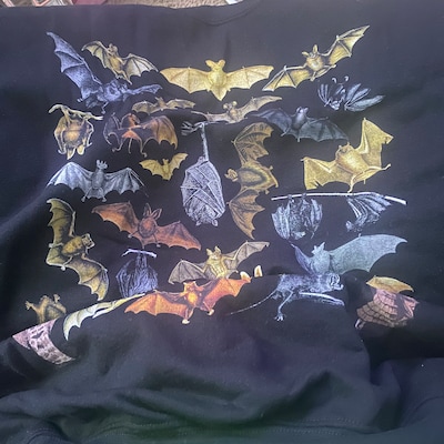 Worst Case Scenario Sweatshirt, Mountain Themed T Shirt, Hiking Tees ...