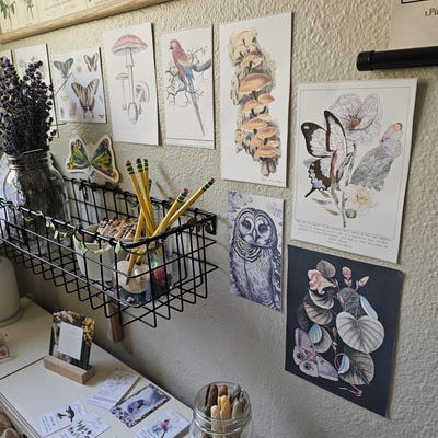 The Water Cycle Posters Freebie Over at Our Website - Etsy