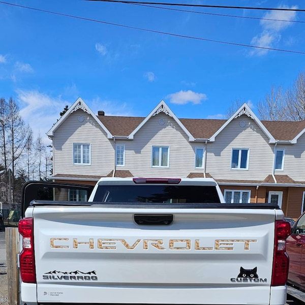 2019 2020 2021 2022 2023 2024 Chevy Silverado Trail Boss REDLINE Hash ...