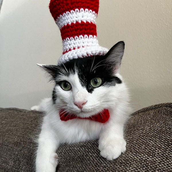 St Patrick's Day, Hats for Cats, Cat Costumes, Cat Hat, Cat Accessories ...