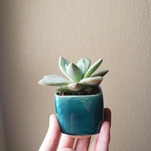 Turquoise Small Plant Pot M Size Set of 3 Ceramic Pot for - Etsy