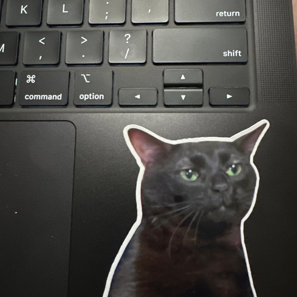 Meet the Teacher Editable Template: Back to School Welcome Letter ...