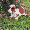 Sock Monkey Photo Prop Set - Etsy