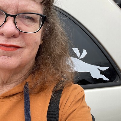 Dragon in Flight Print Car Window Decal Car Sticker Vinyl Decal Window ...