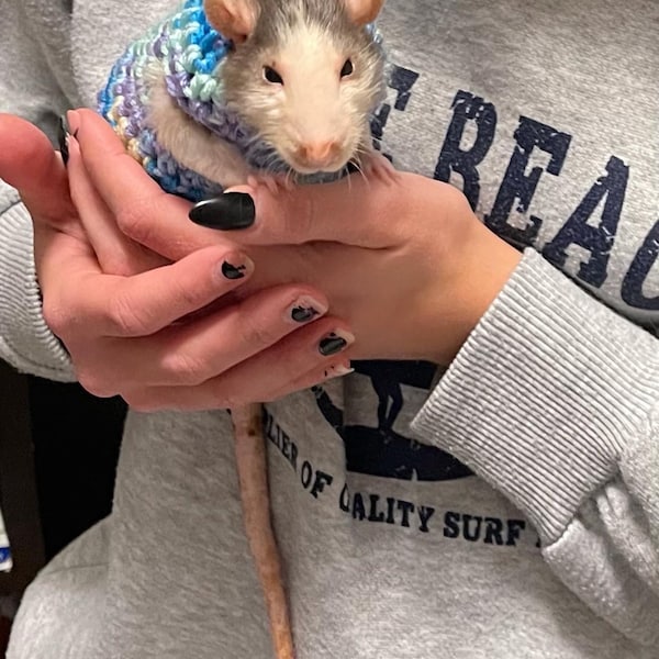 Crocheted Rat Sweater | Custom Acrylic Pet Clothing - Etsy