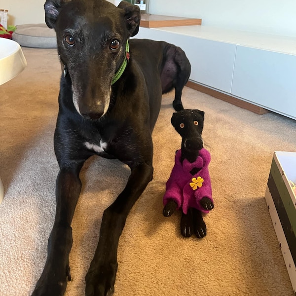 Captain Capybara Needle Felted Home Decoration Habdmade Felt Capybara ...