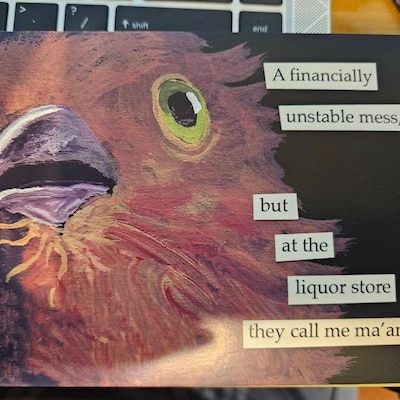 Troubled Bird Postcard Set of 50 Birds Animal Mincing Mockingbird - Etsy