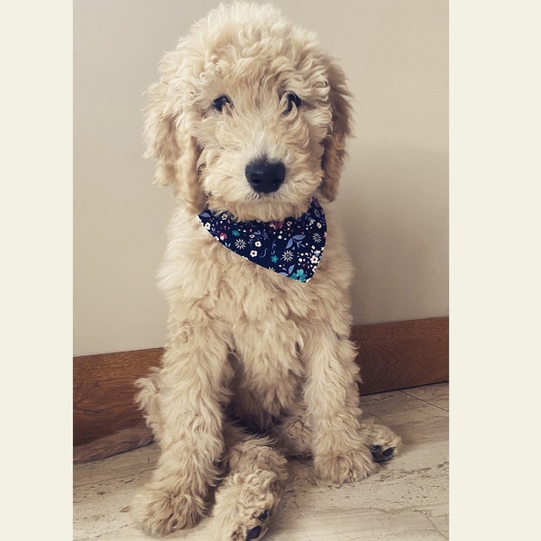 Pilates Journal Tracker Printable Pilates Planner Fitness Plan Tracker ...