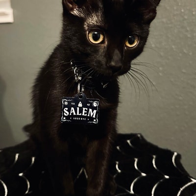 Witchy Pet ID Tag, Custom Personalized Dog or Cat Tags, Mystical Gothic ...