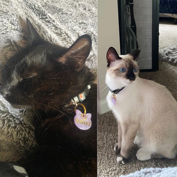 Luna Sailormoon Inspired Cat Tag | Resin Cat Tag | Personalized Pet ID ...