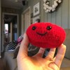 Red Blood Cell Amigurumi Crochet Pattern - Etsy