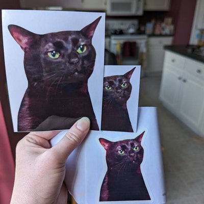 Zoned Out Black Cat Sticker - Etsy