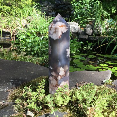 Picasso Jasper Palms A Grade - Etsy