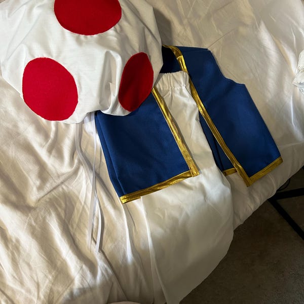 Toad Costume: Handmade Vest, Pants & Mushroom Cap - Super Mario ...