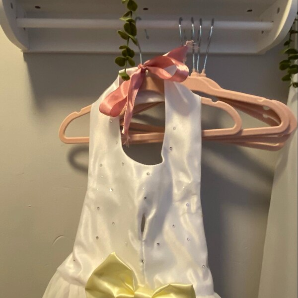 Pink Dog Wardrobe, Dog Harness Storage, Dog Closet, Dog Clothing ...