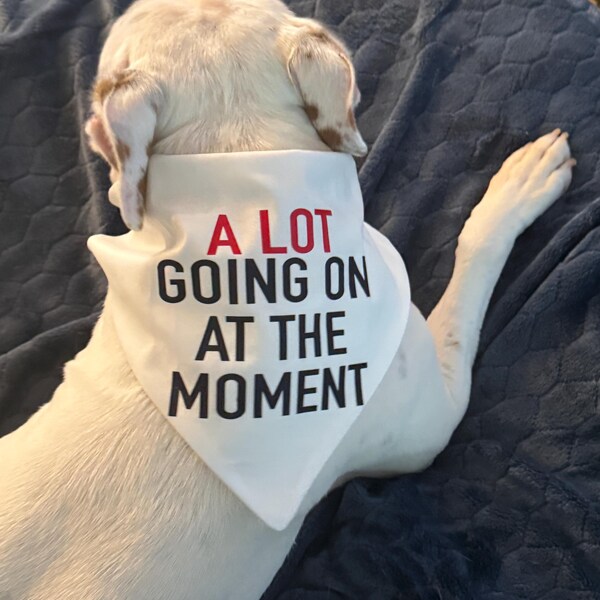 Hand Painted Banners, Birthday Banner, Personalized Banner, Event ...