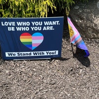 Princess Leia Resistance Yard Sign // 2-sided // Protest - Etsy