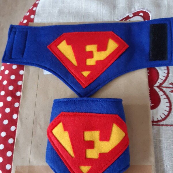 Gruffalo Cape With Purple Prickles, Costume for Dressing Up, Role Play ...