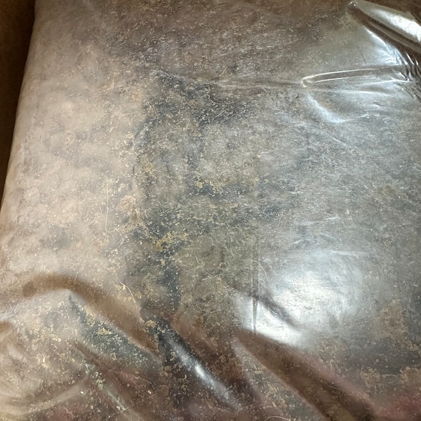 Qty1 Vintage REAL 1960s Rustic Horseshoes Authentic Wire Wheel Ground ...