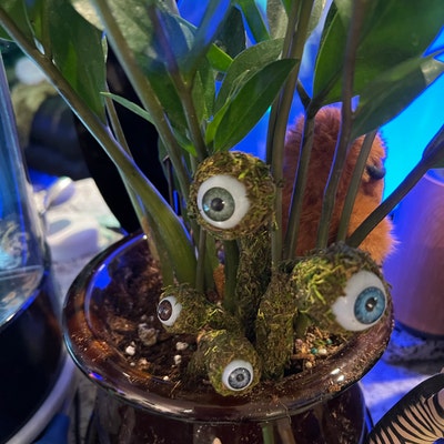 Eye Lichen Labyrinth Themed Gift - Etsy